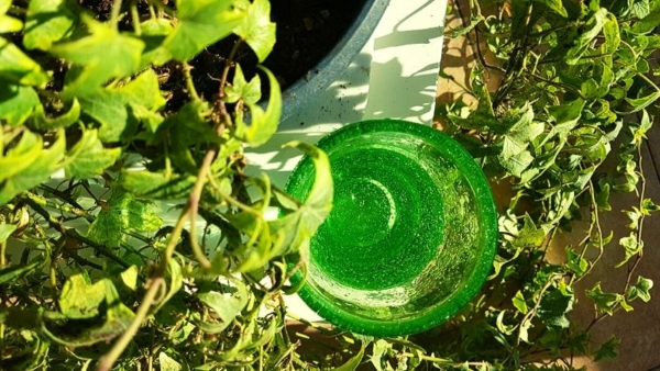 7 Simple Tips to Recycle Water at Home - Serene & Green Living by Nika ...