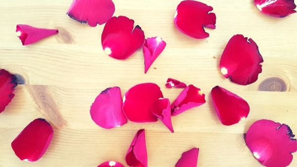 7 Green Tips for Eco-Friendly Valentine's Day - Serene & Green Living ...