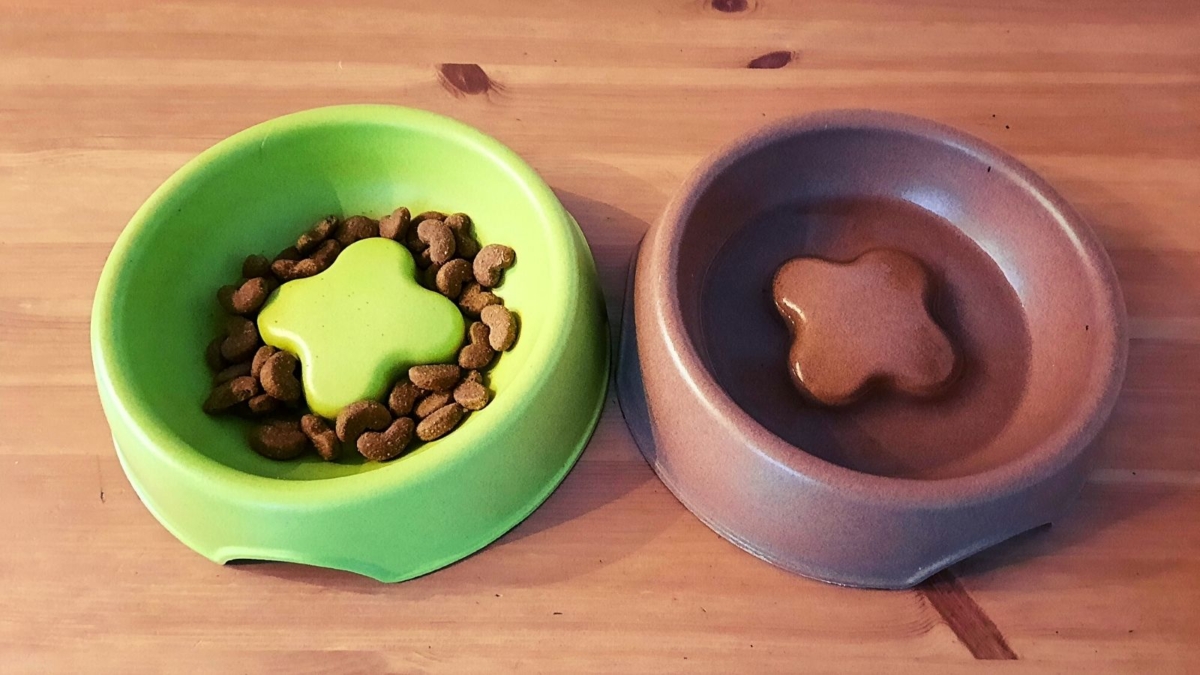 Eco-friendly Dog Care: Simple Ways to Be a More Sustainable Dog Owner ...